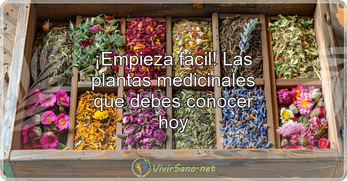 ¡Empieza fácil! Las plantas medicinales que debes conocer hoy ...