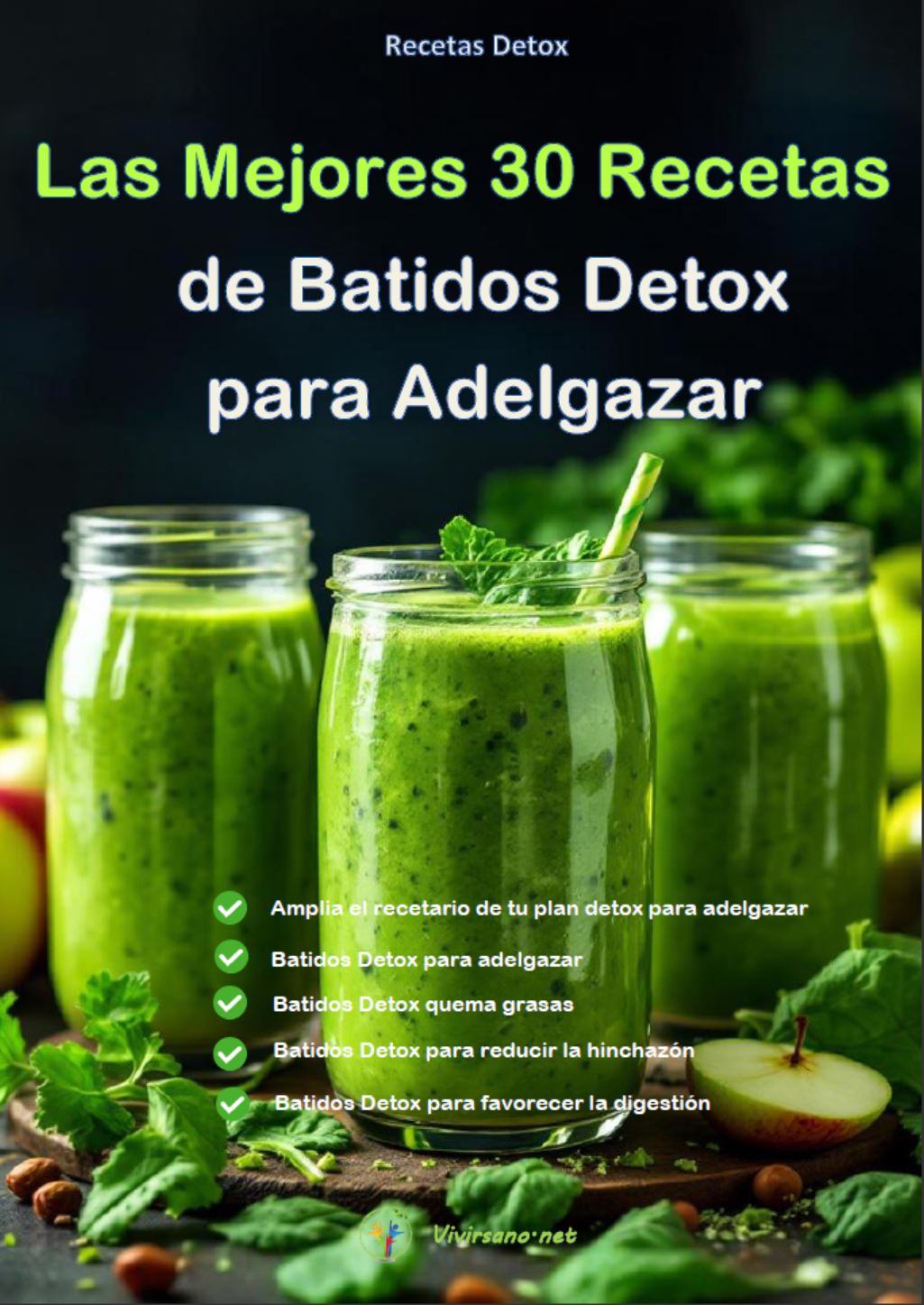 Las 30 Mejores Recetas de batidos Detox para Adelgazar - Vivirsano.net